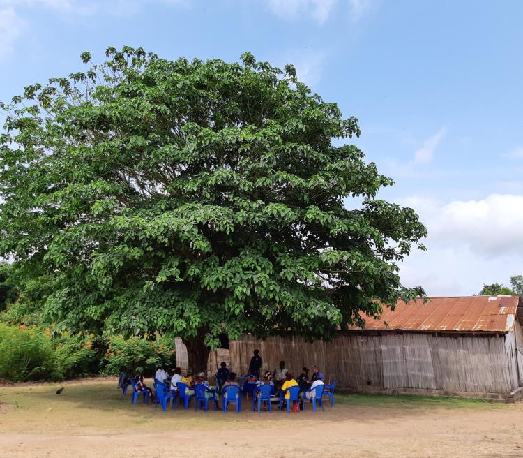 Learn more about our work and thematic focus - SMC