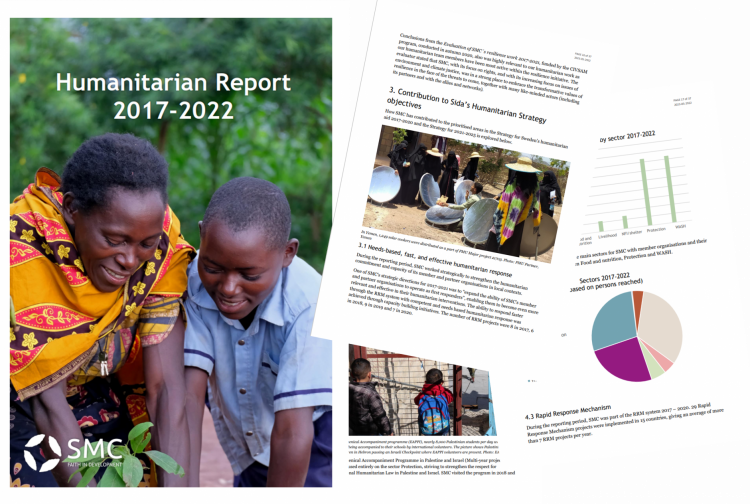 Good results but ongoing significant needs - final report on ...